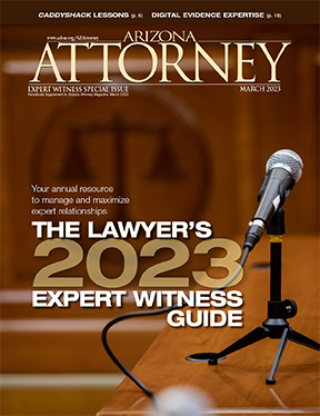 Expert Witness Guide